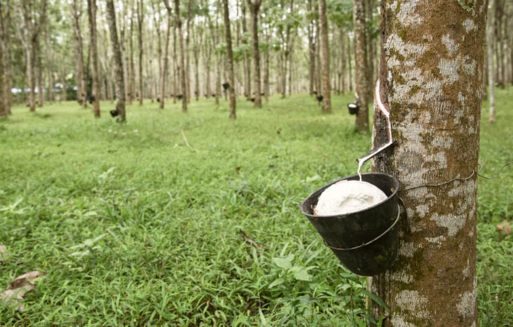 Reimagining Comfort with More Sustainable, Plant-Based Foam | Medley